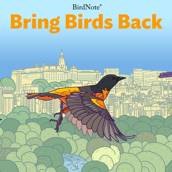 Bring Birds Back - Listen on Play Podcast